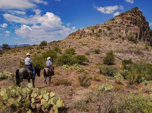 Search Results | Pink Adventure Tours