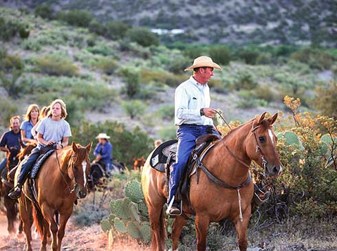 Search Results | Pink Adventure Tours